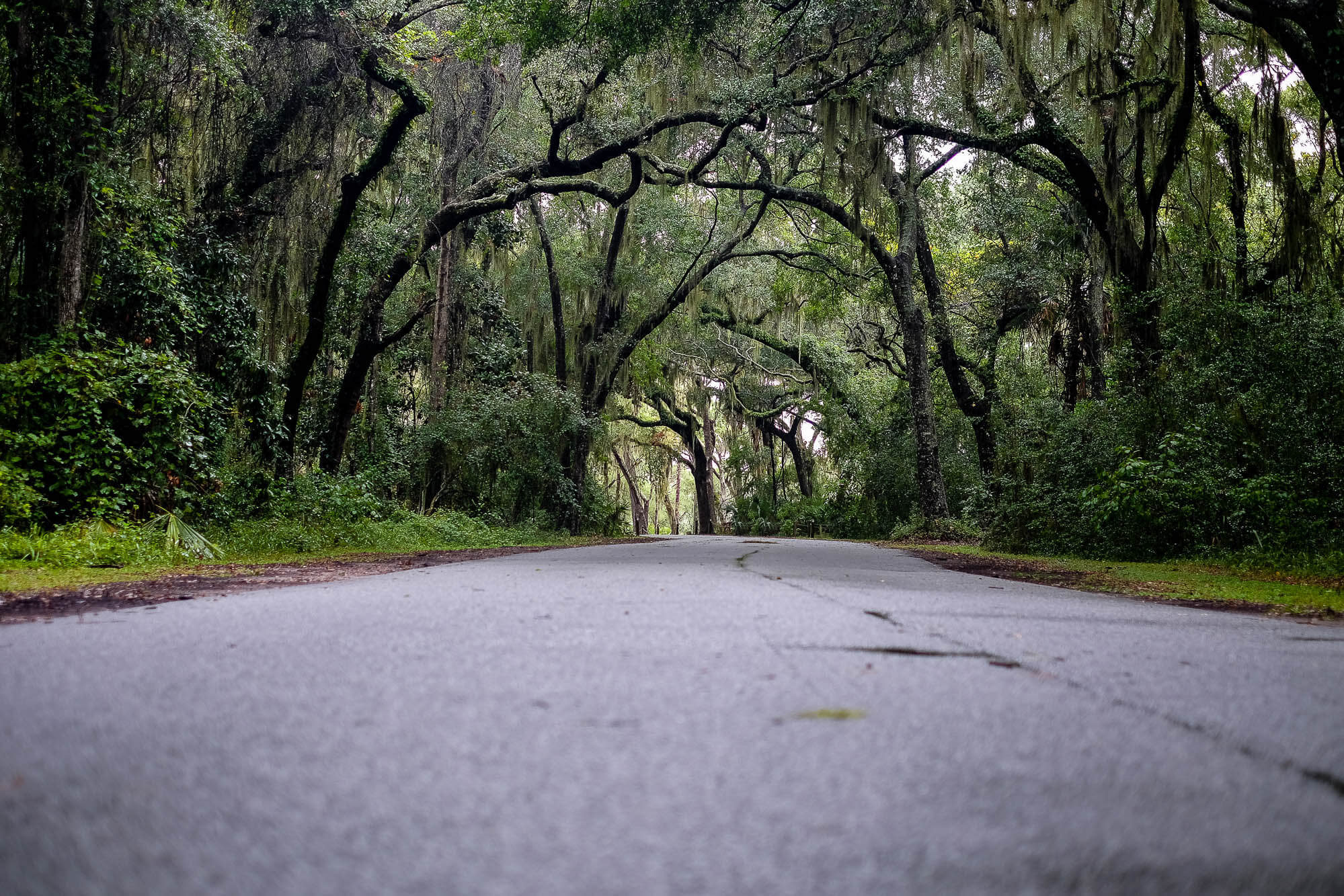 The Southern Coast: 20 Photos of Georgia To Inspire You To Visit