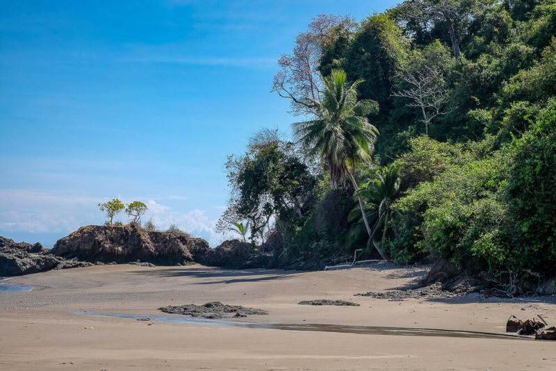 Finding My Sea Turtle: Snorkeling at Cano Island [Video]