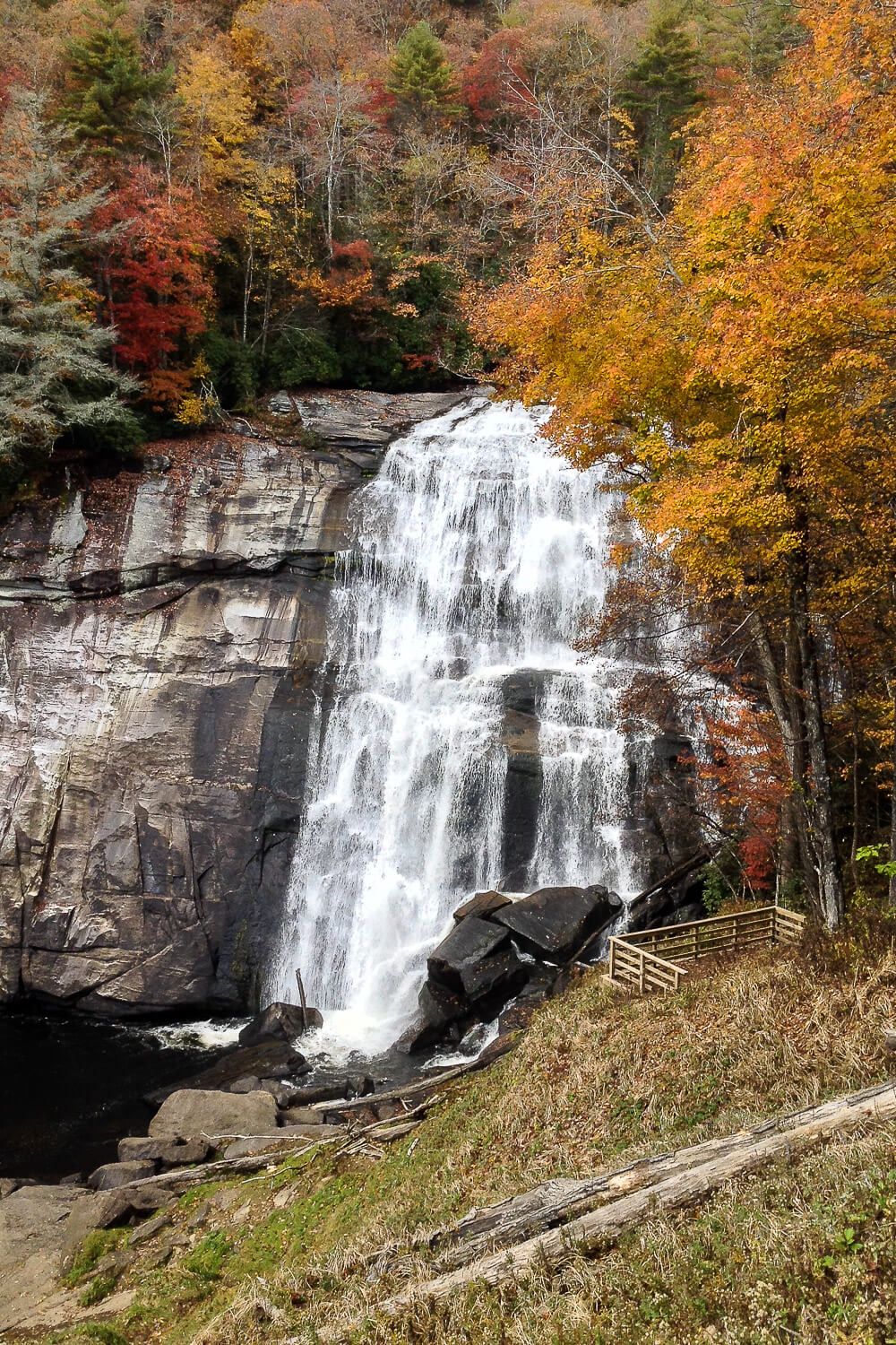 20 Things To Do In Greenville In Fall