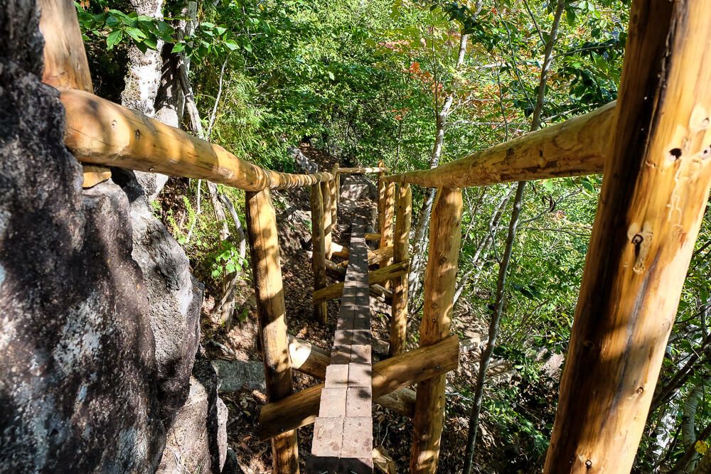 Trail Guide: Jordan Cliffs Trail in Acadia National Park