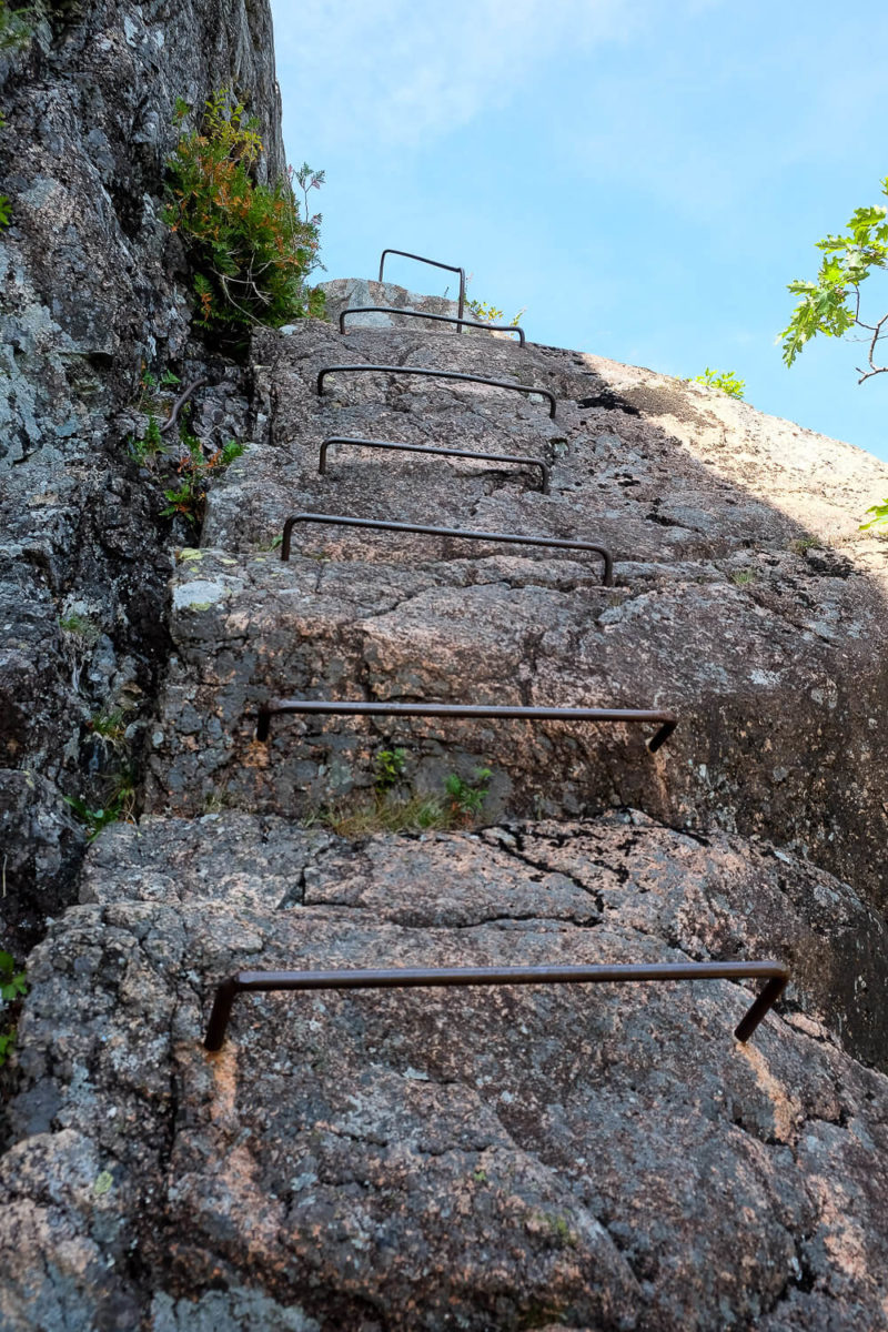 Trail Guide: Jordan Cliffs Trail in Acadia National Park