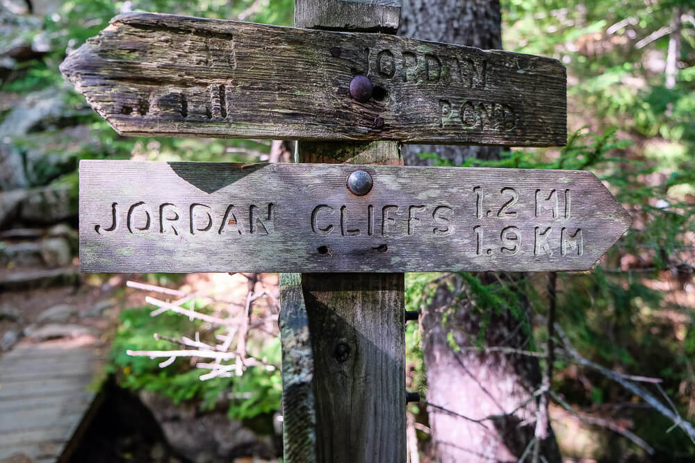 Trail Guide: Jordan Cliffs Trail in Acadia National Park