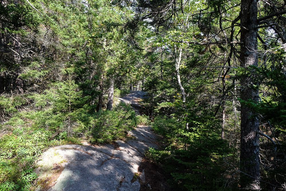 Trail Guide: Jordan Cliffs Trail in Acadia National Park
