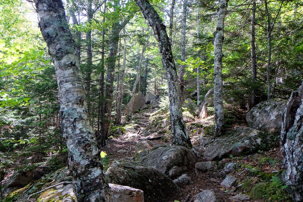 Trail Guide: Jordan Cliffs Trail in Acadia National Park