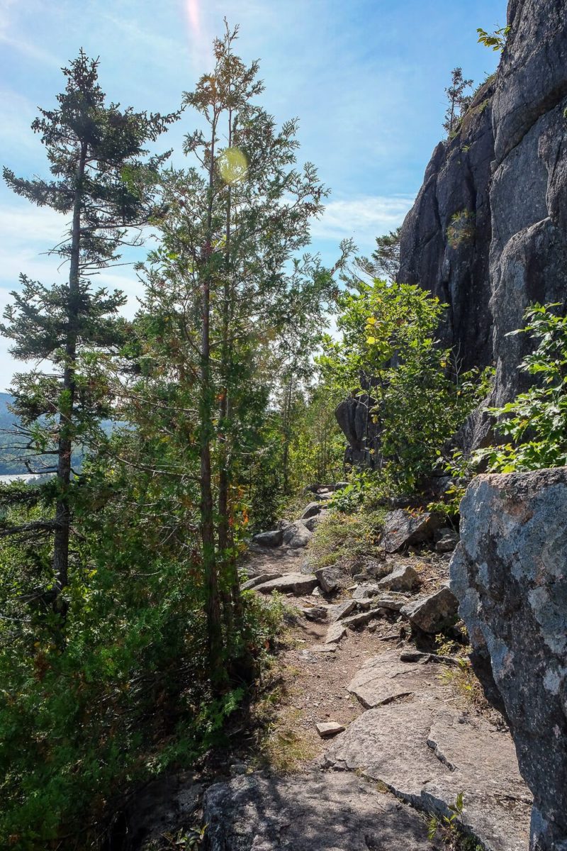 Trail Guide: Jordan Cliffs Trail in Acadia National Park