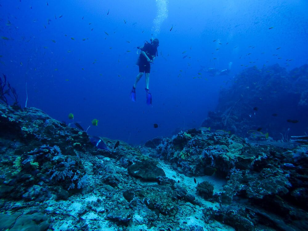 Similan Islands Diving: Why Sea Dragon Is The Best Liveaboard Trip