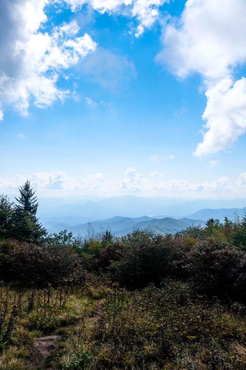 Hike the Andrews Bald Trail from Clingmans Dome