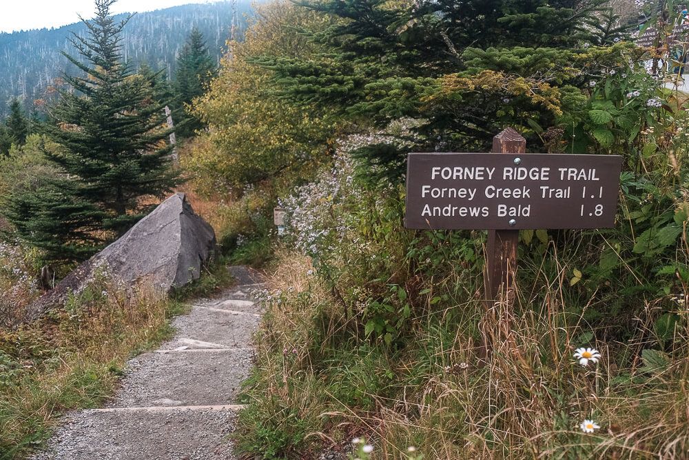 Hike the Andrews Bald Trail from Clingmans Dome