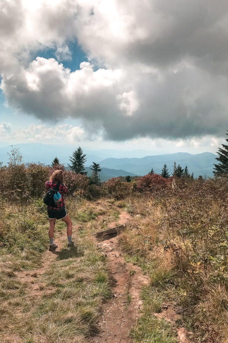 Hike the Andrews Bald Trail from Clingmans Dome