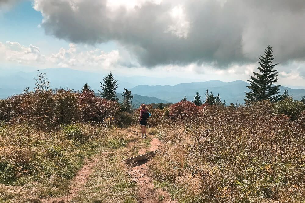 Hike the Andrews Bald Trail from Clingmans Dome