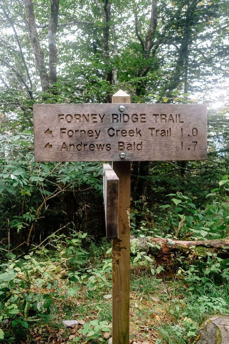 Hike the Andrews Bald Trail from Clingmans Dome