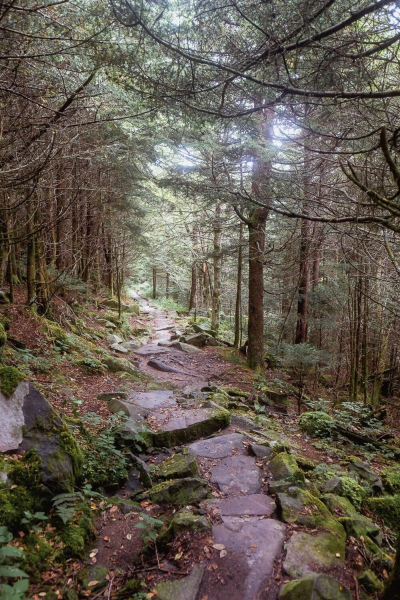Hike the Andrews Bald Trail from Clingmans Dome