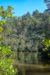 Where to go Hiking in Greenville? Paris Mountain State Park.