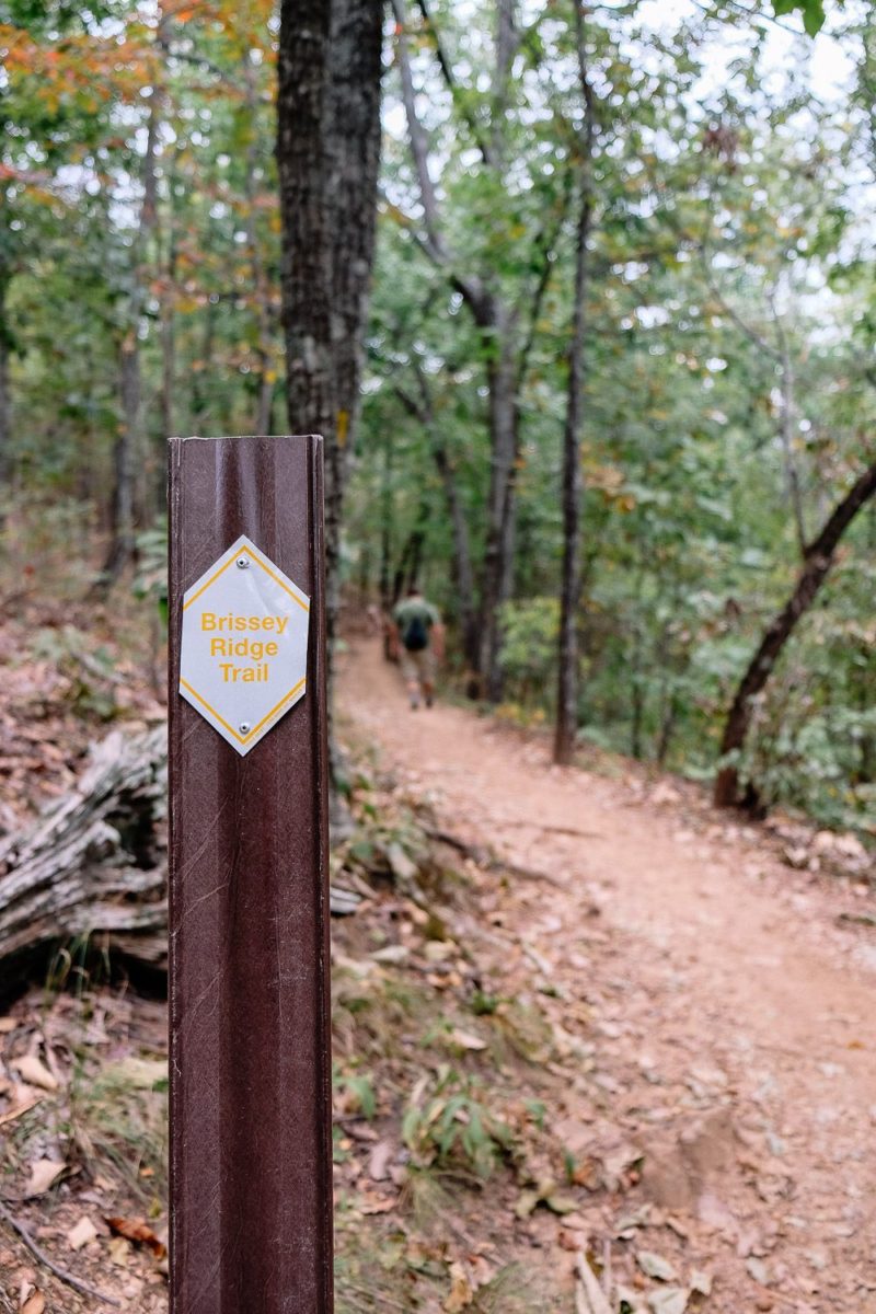 Where to go Hiking in Greenville? Paris Mountain State Park.