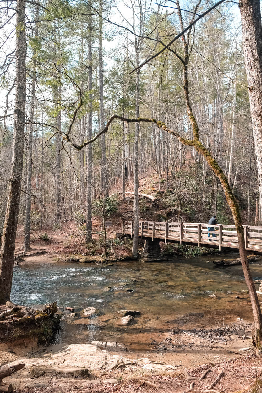 Hike the Abrams Falls Trail: Great Smoky Mountains