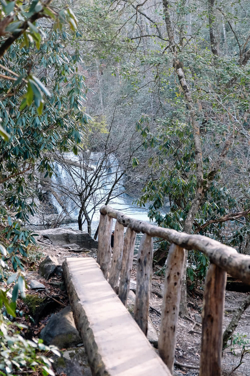 Hike the Abrams Falls Trail: Great Smoky Mountains