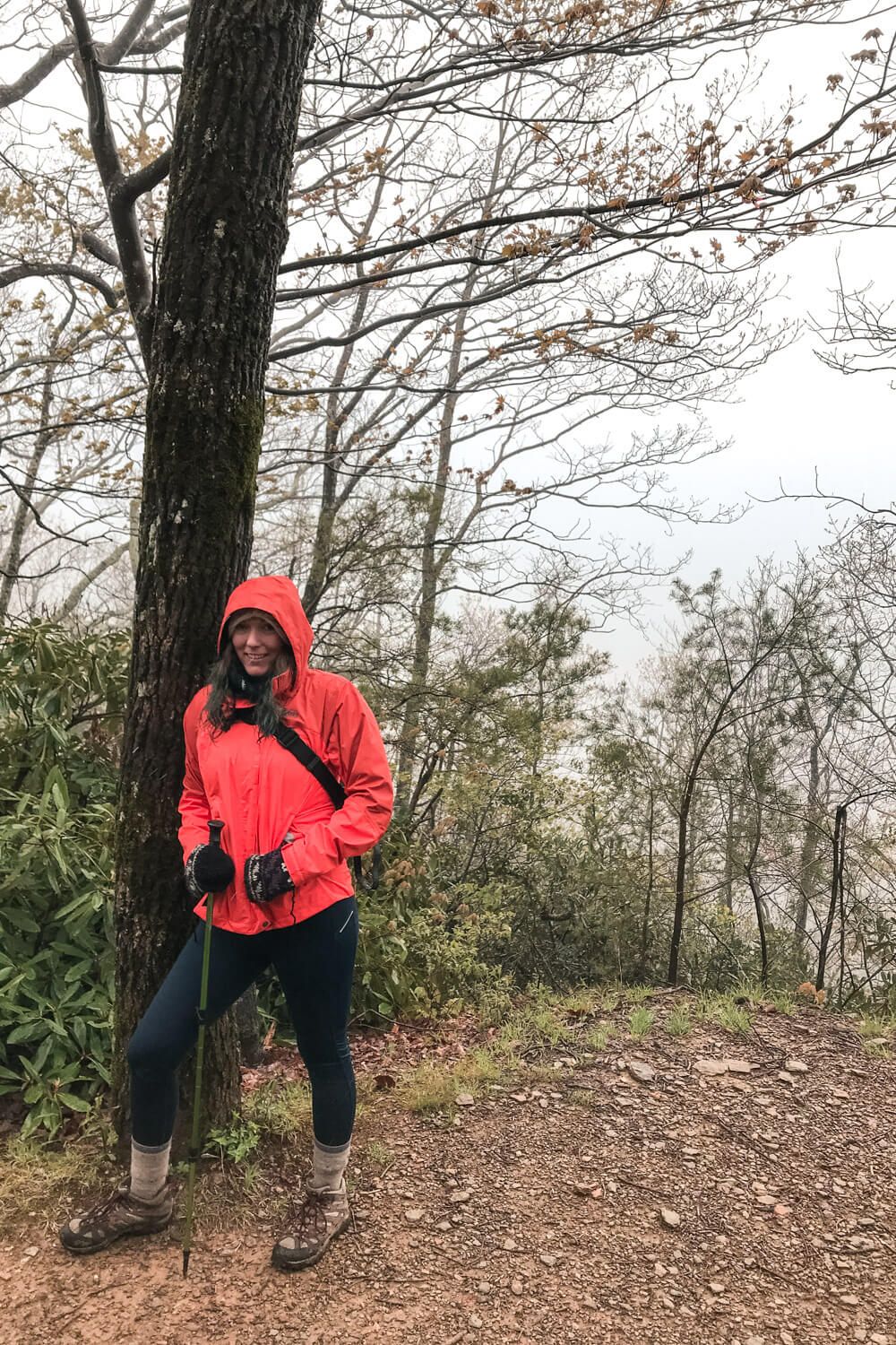 Hike the Rich Mountain Loop: Great Smoky Mountains