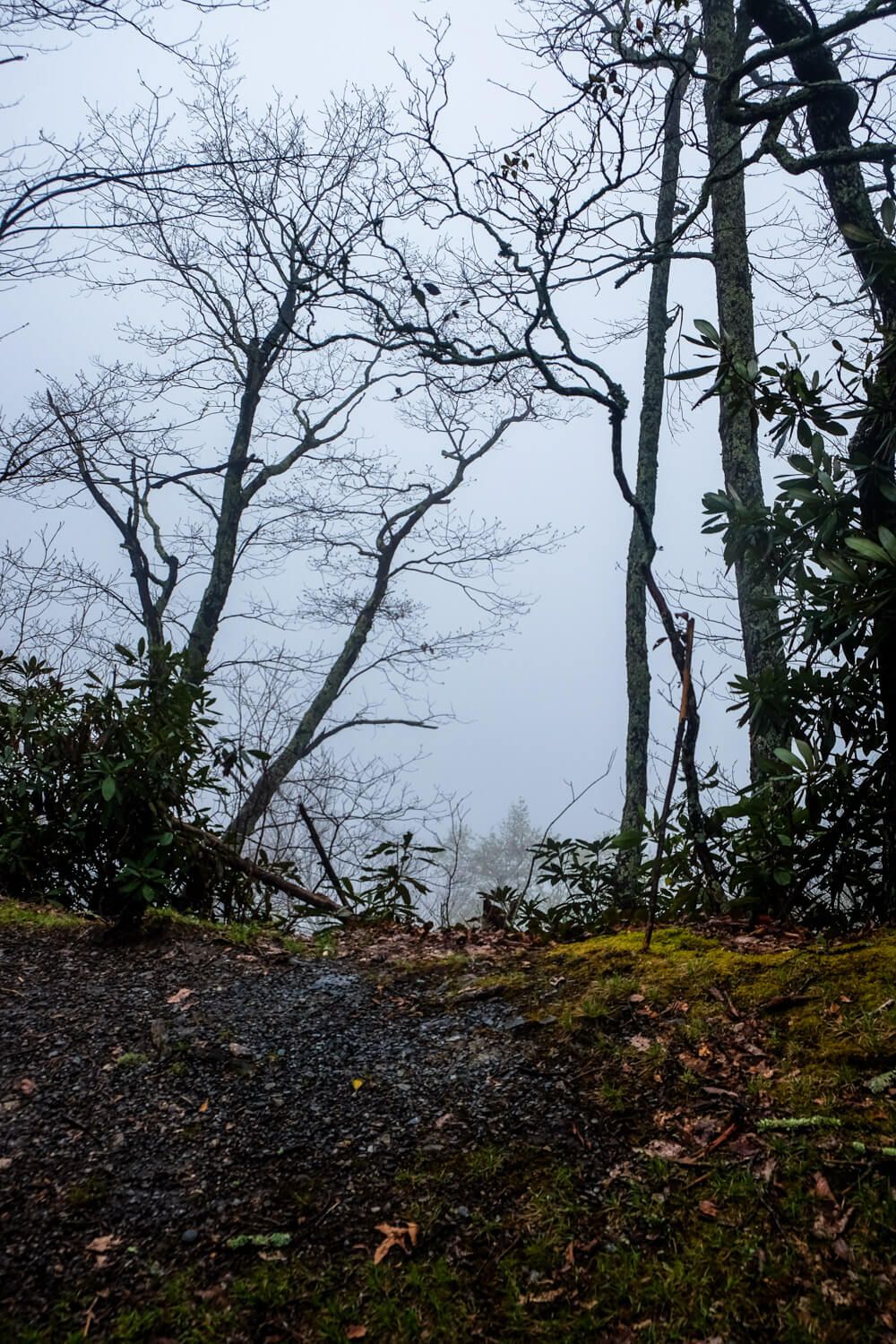 Hike the Rich Mountain Loop: Great Smoky Mountains