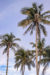 Bermuda on a Budget: How Much Does A Trip To Bermuda Cost?