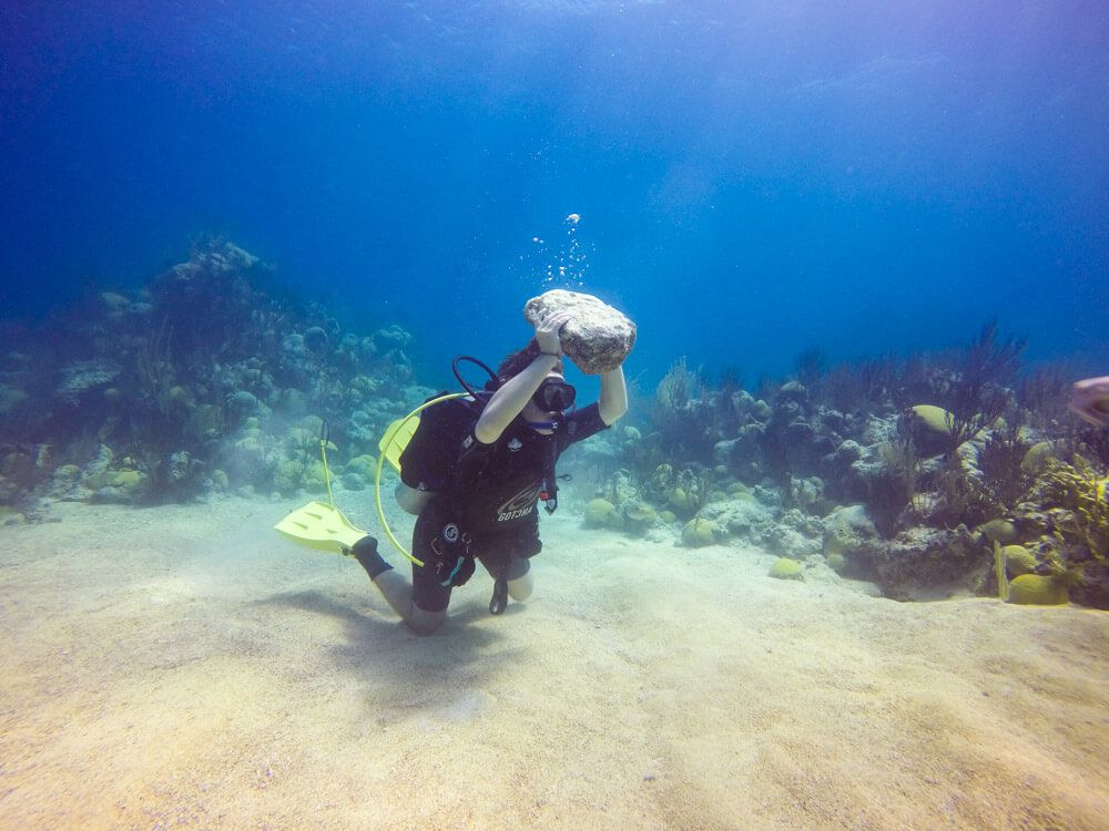 Diving in Bermuda with Blue Water Divers [Review]