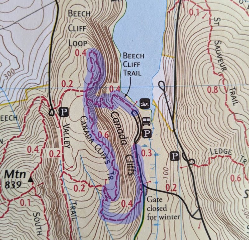 Hike the Beech Cliff Trail in Acadia National Park