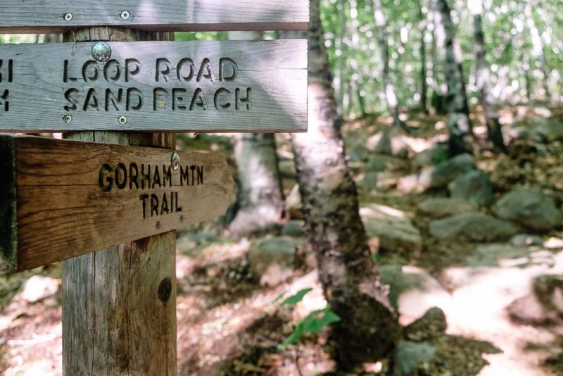 Hike the Gorham Mountain Trail in Acadia National Park