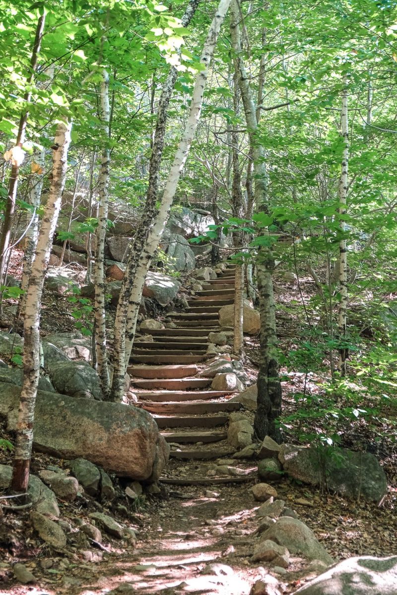 Hike the Gorham Mountain Trail in Acadia National Park