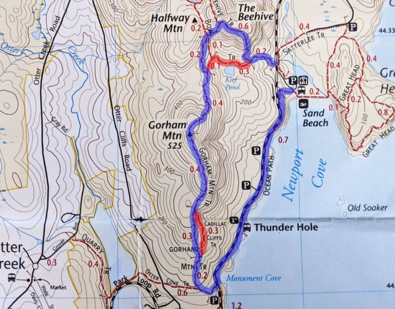 Hike the Gorham Mountain Trail in Acadia National Park