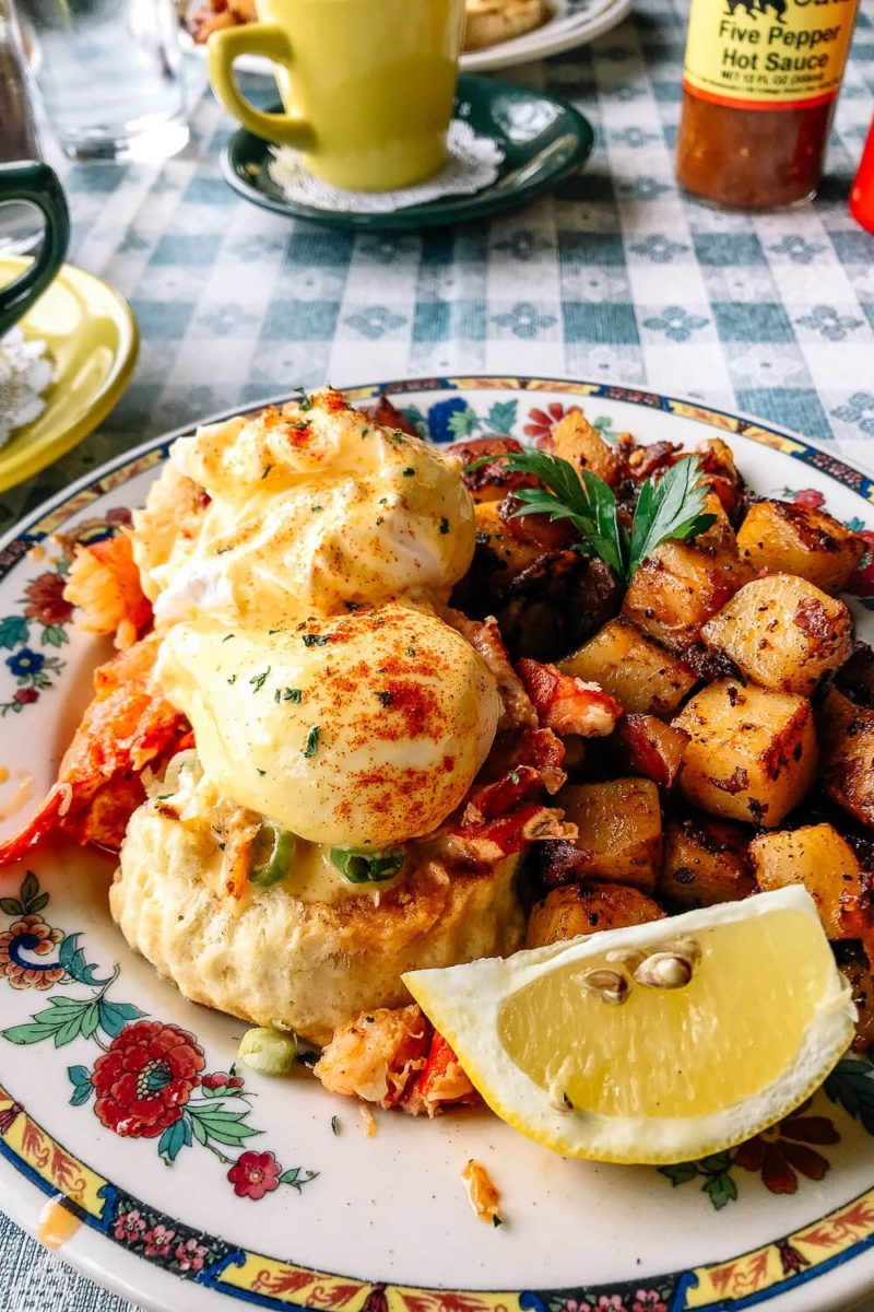 One Day in Acadia National Park: The Perfect Itinerary