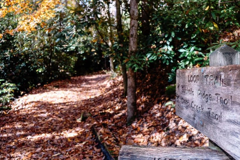 Hike the Deep Creek Trail Loop in the Smoky Mountains