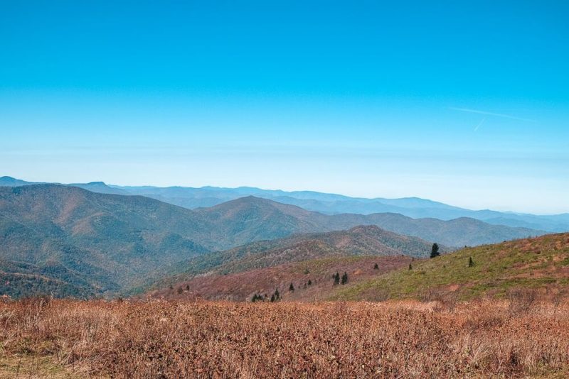 Black Balsam Knob Hike [Trail Guide]