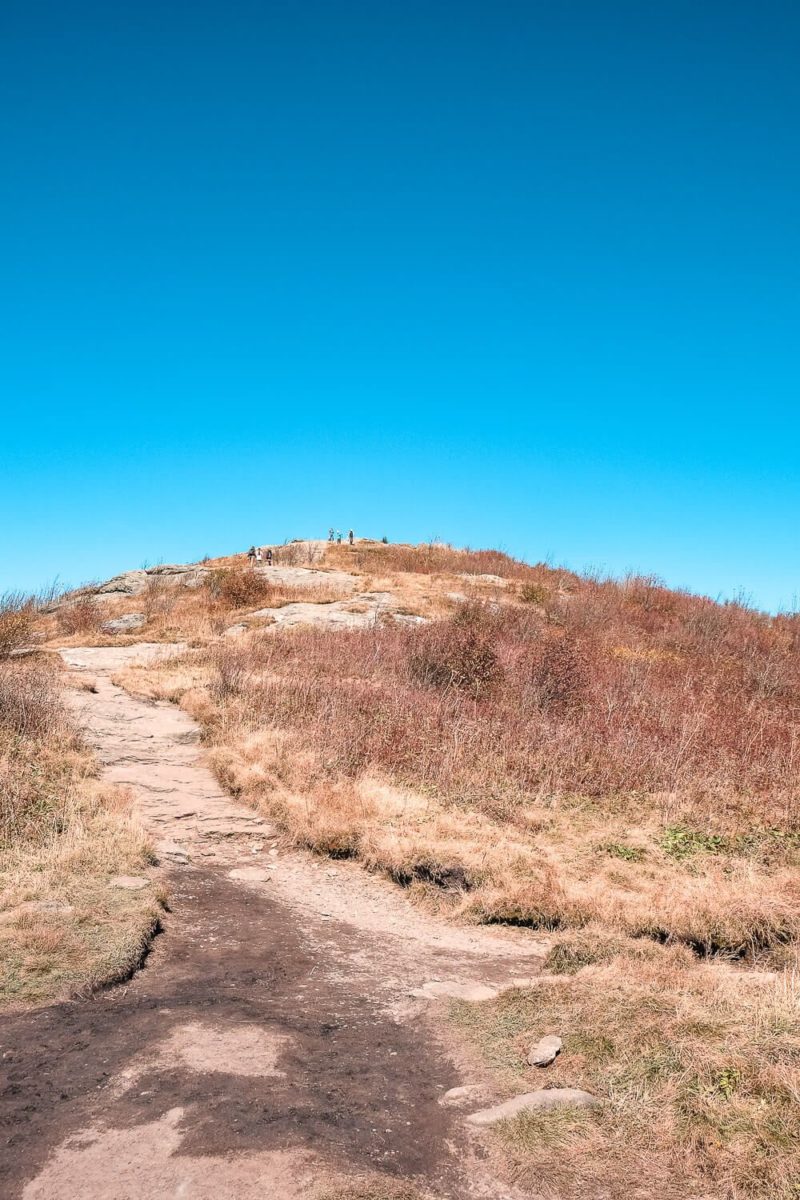 Black Balsam Knob Hike [Trail Guide]