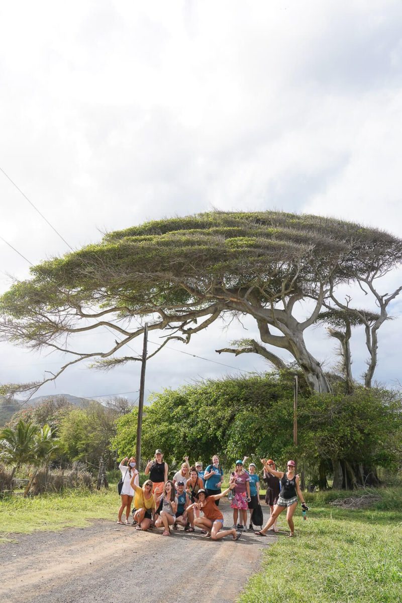 The Ultimate Women's Surf Camp: Maui Surfer Girls [Review]