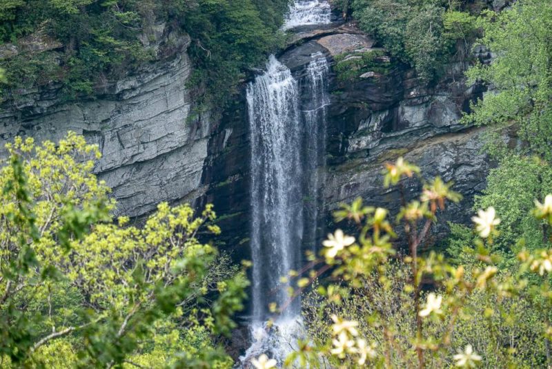Hike to the Raven Cliff Falls Overlook [Trail Guide]