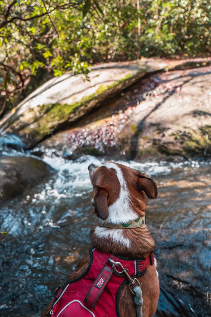 Hike the Raven Rock Loop [Trail Guide]