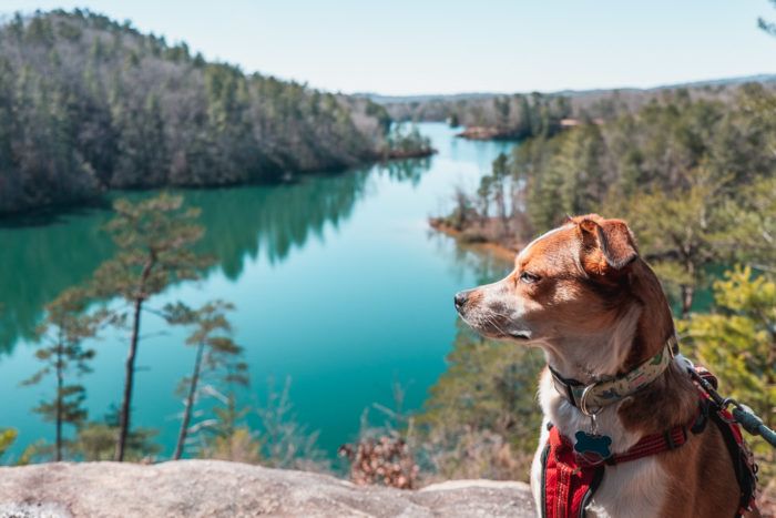 Hike the Raven Rock Loop [Trail Guide]