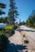 Hike the Ocean Path Trail in Acadia National Park