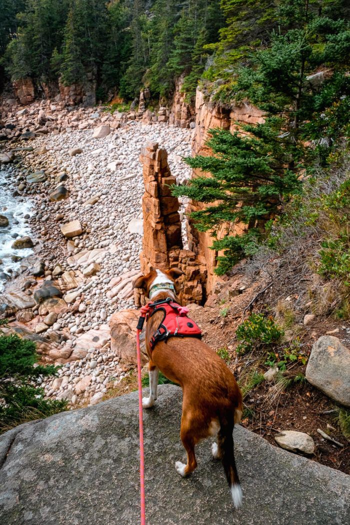 Hike the Ocean Path Trail in Acadia National Park