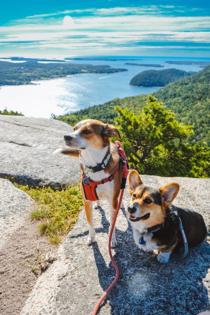 Hike the Acadia Mountain Trail in Acadia National Park [Trail Guide]