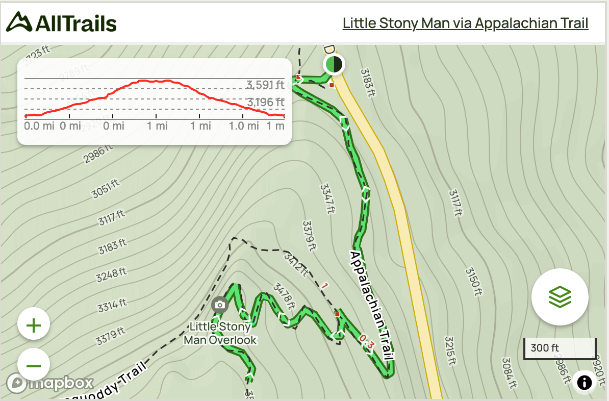 Best Things to Do in Shenandoah National Park With Your Dog