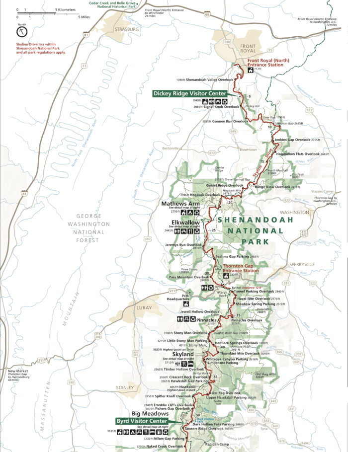 Best Things to Do in Shenandoah National Park With Your Dog