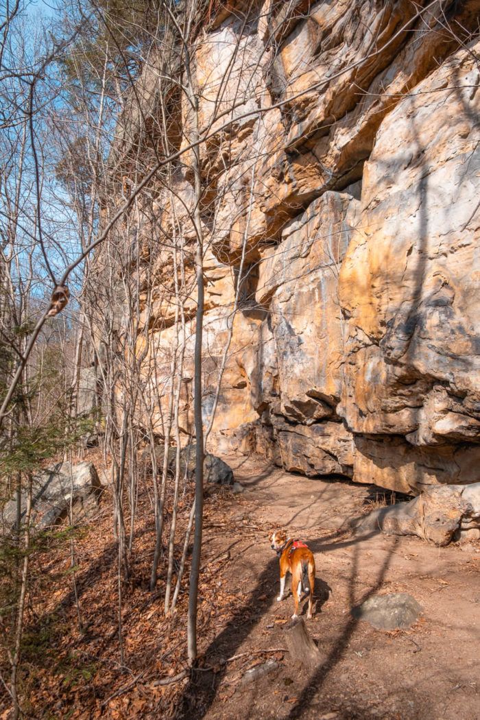 Cliffside Trail in Hawks Nest State Park [Trail Guide]